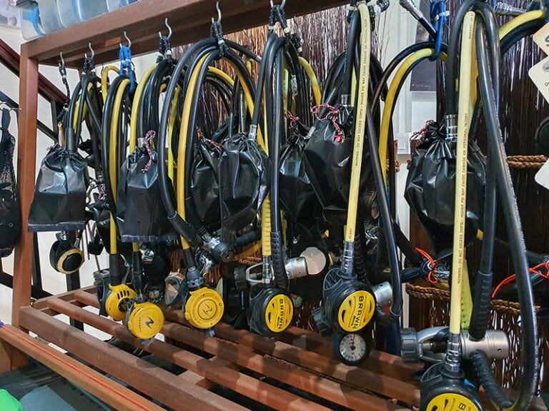 The Most Common Diving Injuries and How to Prevent Them