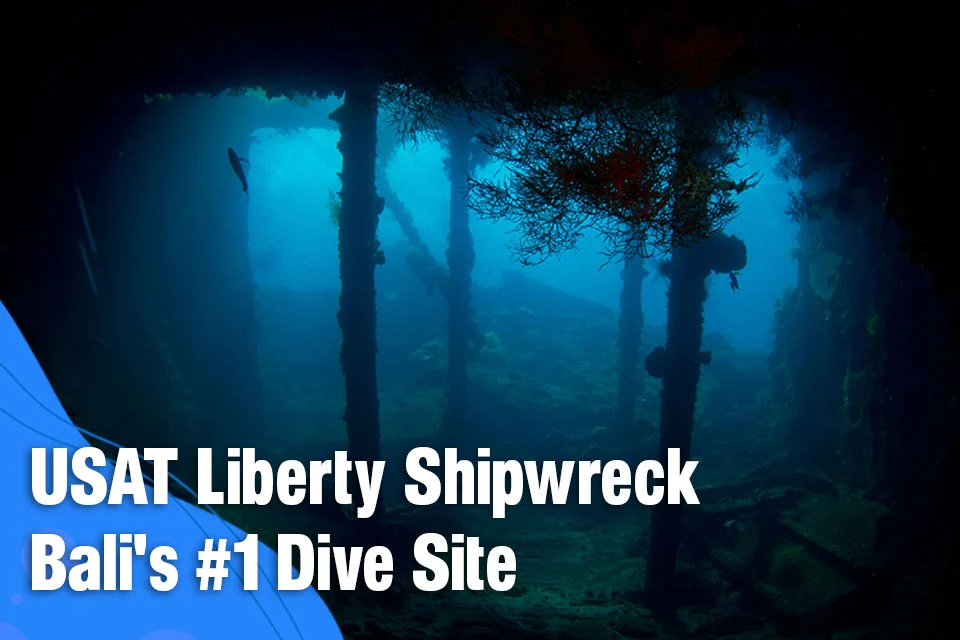 Bali's Number One Dive Site - USAT Liberty Shipwreck - Bali FUN Diving